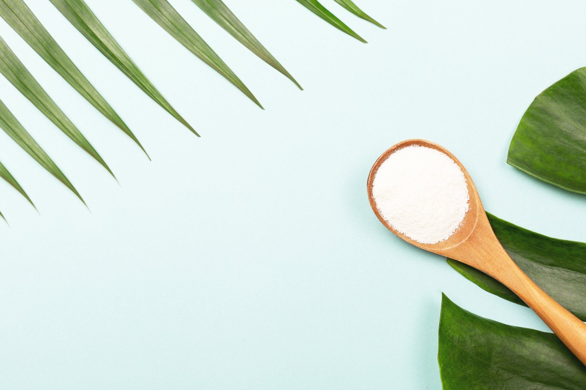 Beef Collagen: The Only In-Depth Guide You Need – Zen Principle Naturals