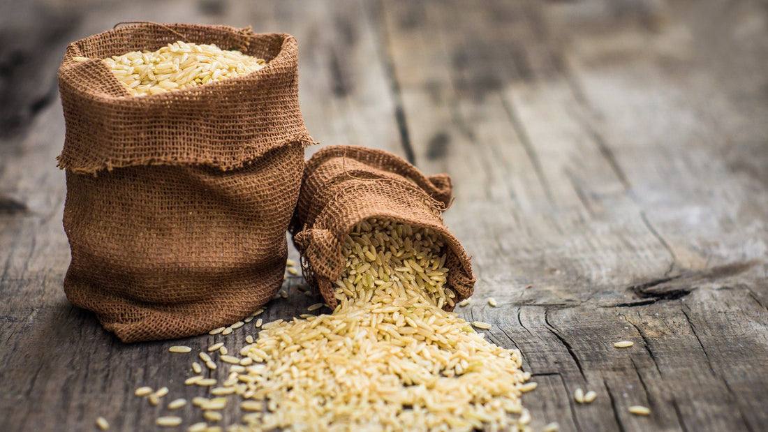 Rice Protein Powder Benefits – Zen Principle Naturals