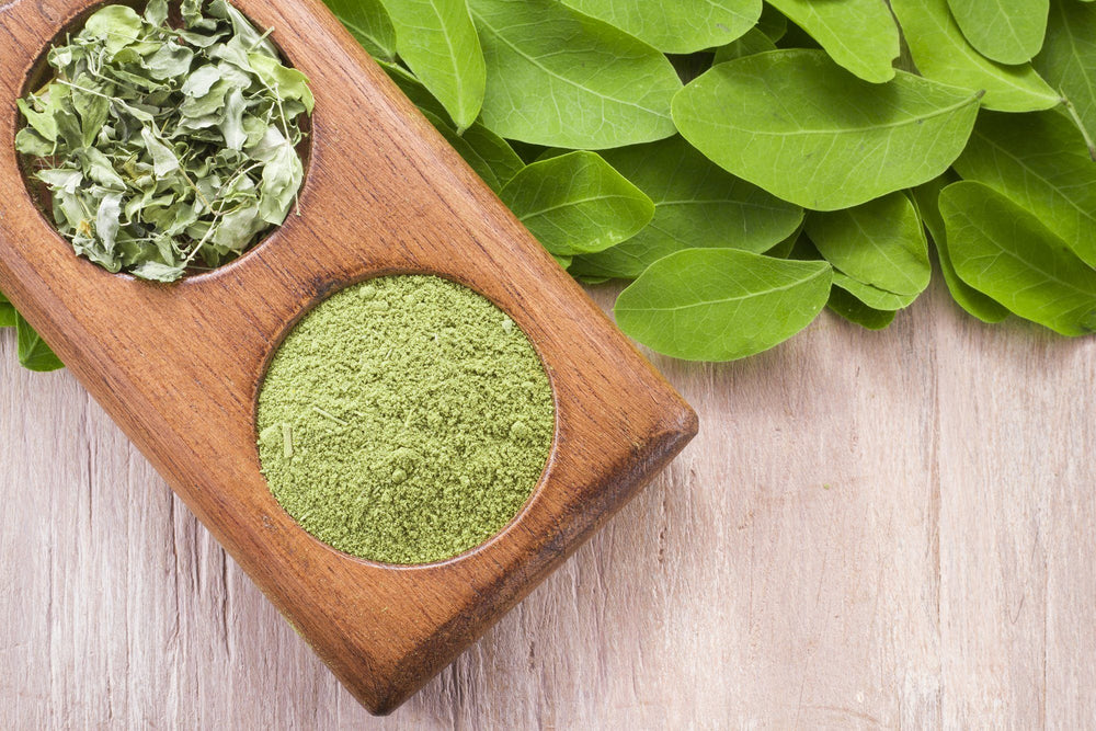 What Is Moringa Good For? by Zen Principle